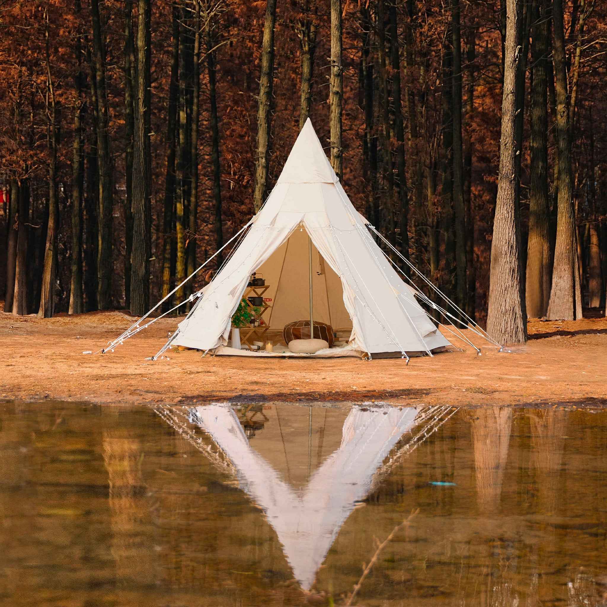 Trend Tents
